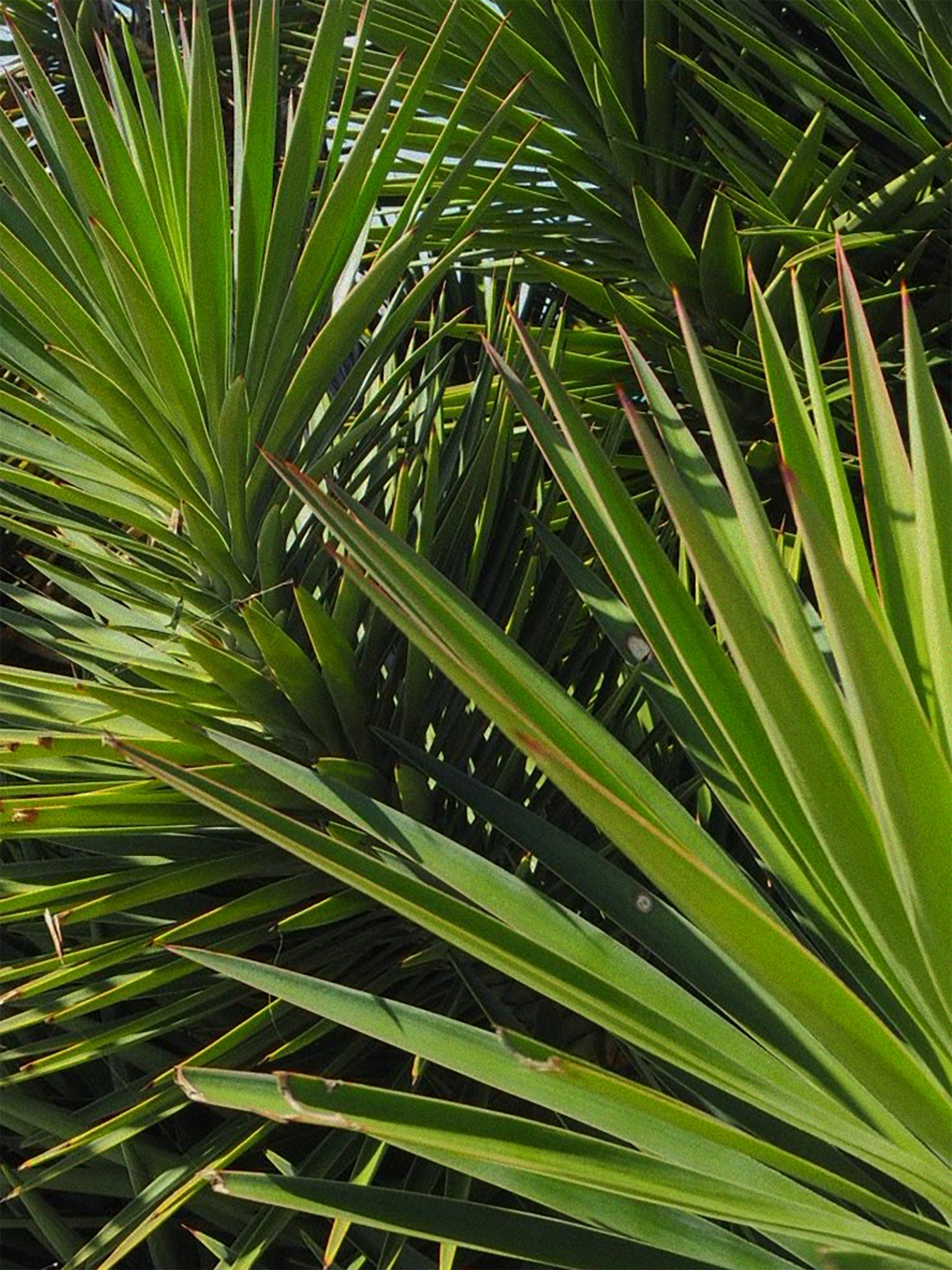 NAMAI | Zero Waste Kantha Quilted Jackets and Bags